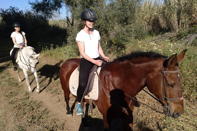 Horse Riding Excursion from Seville - Who Should Book This Tour?