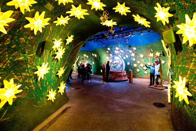 Jungfrau, Top of Europe & Interlaken Small group from Zurich - FAQs