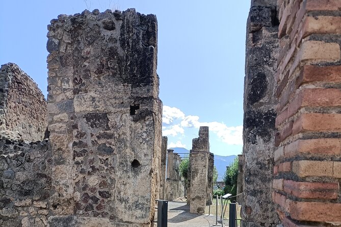 Naples transfer to Pompeii guided tour and Back - Frequently Asked Questions