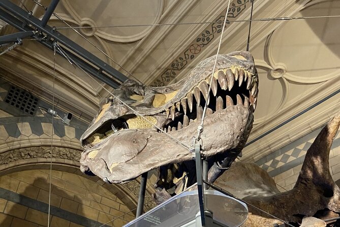 Natural History Museum Self-guided Tour for Kids in English - Final Thoughts: Is This Tour Right for You?
