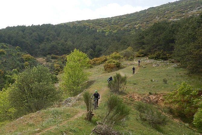 Olympus Mountain Biking - Rides tailored to you - FAQ