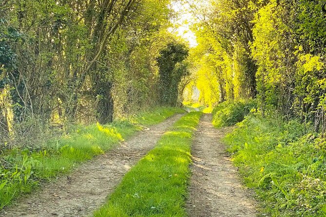 One Day Road Trip from London to The Cotswolds - Who Should Book This?