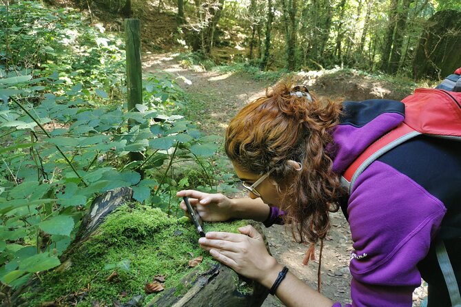 Photography route through the secret nature of Barcelona - From Reviews to Expectation