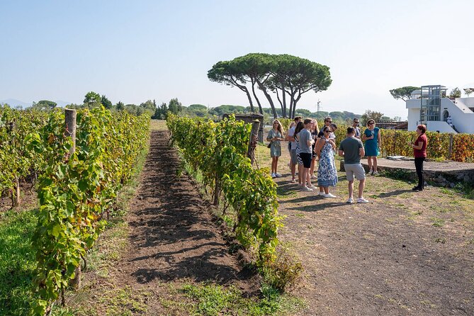 Pompeii and Naples From Rome: Private Full-Day Tour with Lunch - The Sum Up