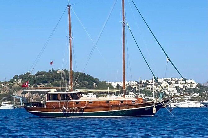 Private Boat Experience in Bodrum Coast with Snorkeling and Coves - Who Will Love This Tour?