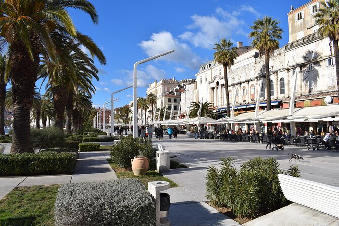 Private Split Walking Tour with Diocletian's Palace - Final Thoughts