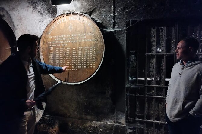 Private Tiles Workshop Tour: Wine Tasting & Sesimbra from Lisbon - Final Thoughts