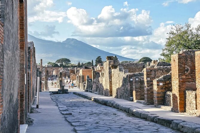 Private Tour to Pompeii Wheelchair Friendly with Archaeologist - Who Should Consider This Tour?