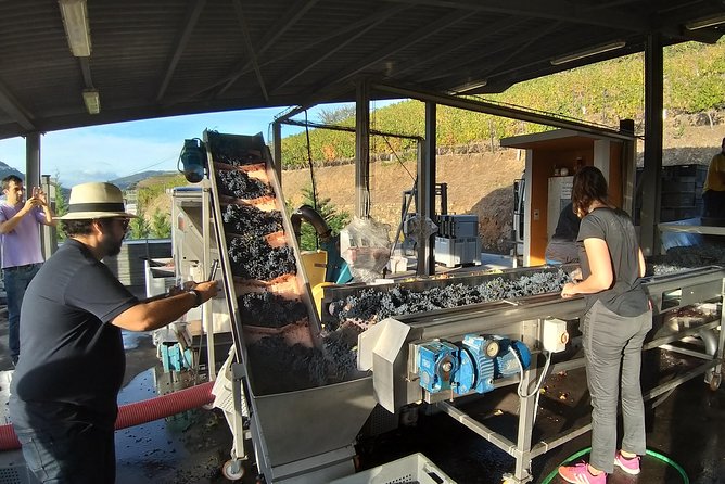 Private Tour to stunning Douro Valley and most renowned wineries - FAQ