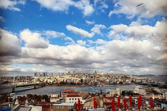 Prvate Istanbul Tour by Luxury Minivan and Licensed Guide - The Sum Up: Who Will Love This Tour?