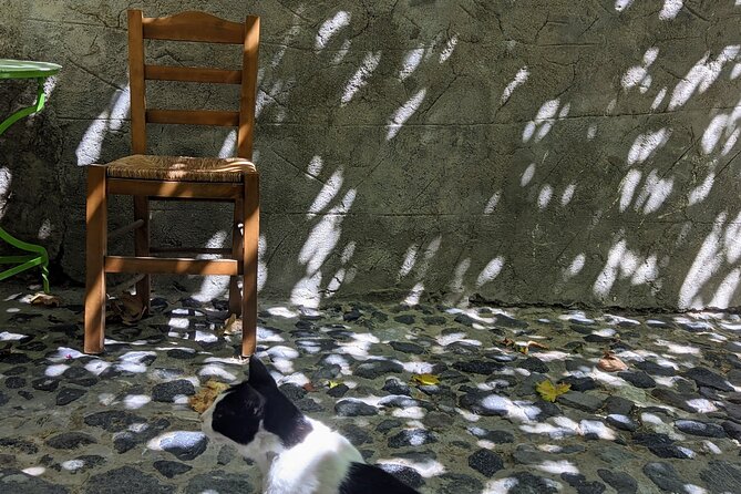 Santorini Classic Highlights and Sightseeing Private Tour - Final Thoughts