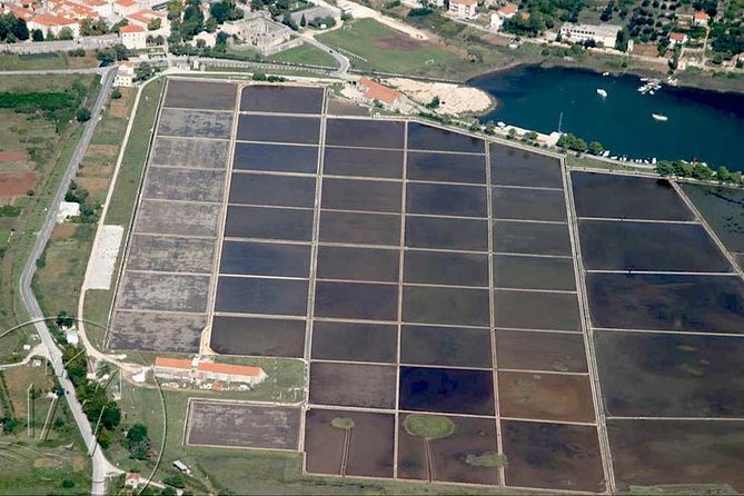 Ston & Trsteno Arboretum - Private Excursion from Dubrovnik w/ Mercedes Vehicle - Final Thoughts