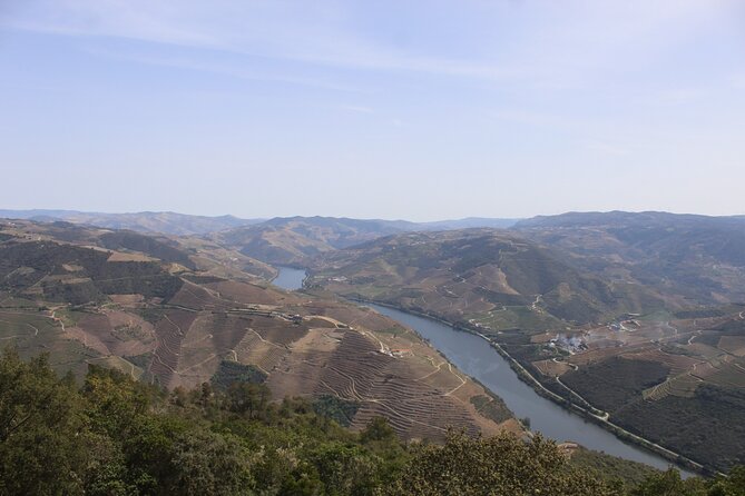 Tour the Douro wine region, and discover the fantastic landscape - The Sum Up: Is This Tour Worth It?