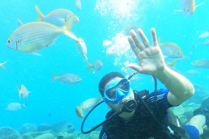 Try Scuba Diving Puerto Colon - FAQs