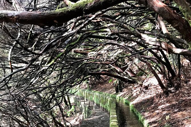 Twenty-Five Fountains Levada walks (private) - Final Thoughts: Is This Tour Worth It?