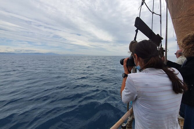 8-Hour Whale Watching in Barcelona - Who Will Love This Tour?