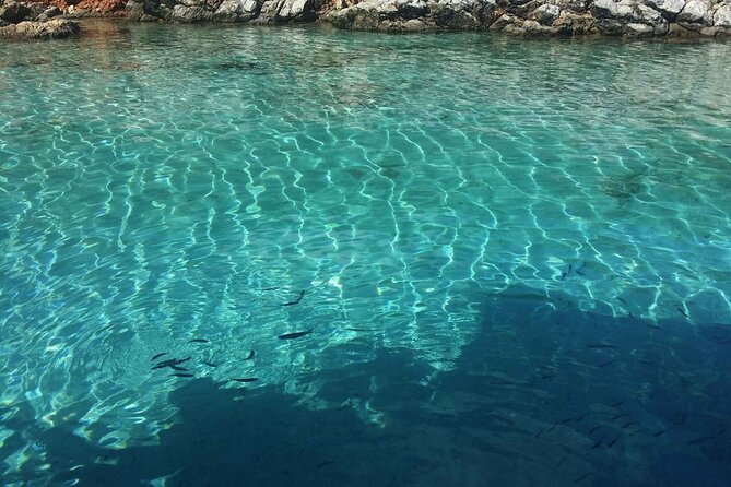 Bodrum Private Boat Trip - Who Is This Tour Best For?