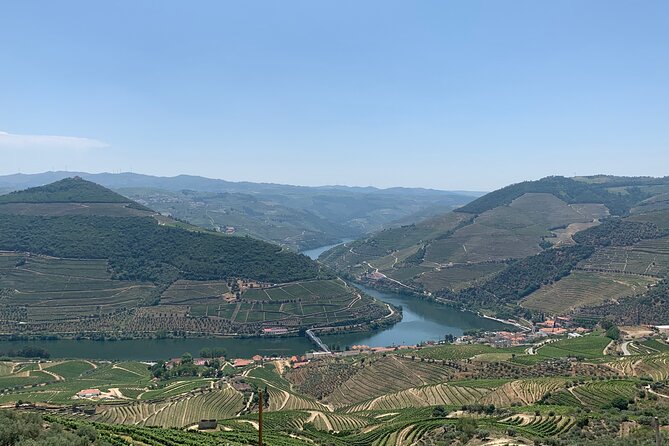 Douro Valley private tour includes wine tasting and boat trip - The Sum Up