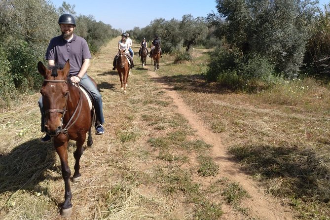 Horse Riding Excursion from Seville - The Sum Up