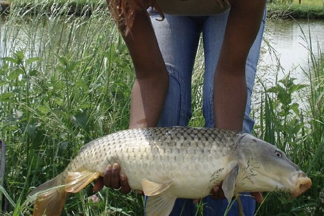 Introduction to fishing in Strasbourg - FAQ