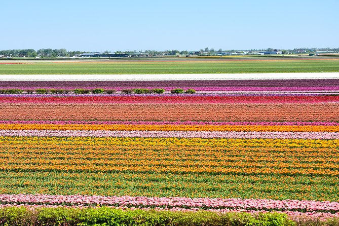 Keukenhof, Flower Fields, Volendam and Zaanse Schans Small-Group Tour - The Sum Up