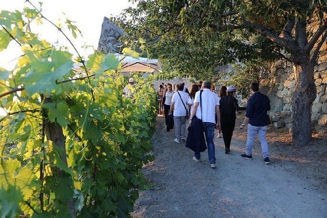 Premium Ischia Wine Tasting Experience with Transfer Included - Frequently Asked Questions