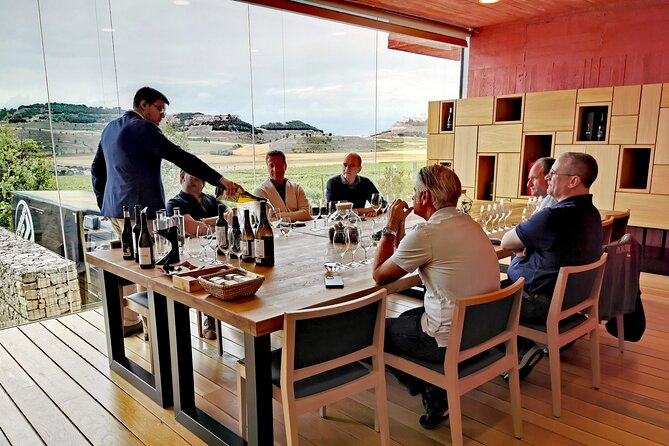 Premium Ribera del Duero tour with winemaker-guide - What travelers are saying