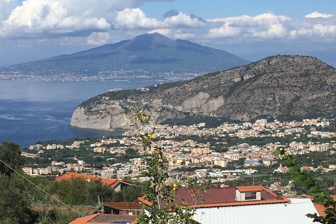 Private Limousine Transfer from Rome to Sorrento - Overall Value and Suitability