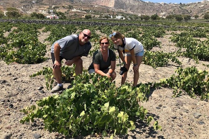 Private Tour: Great Wines and Famous Towns of Santorini - Final Thoughts