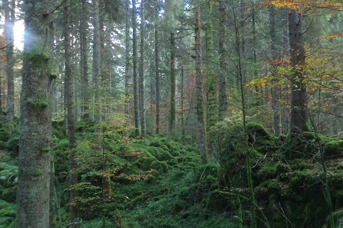 Dolomites Hiking tour - FAQ