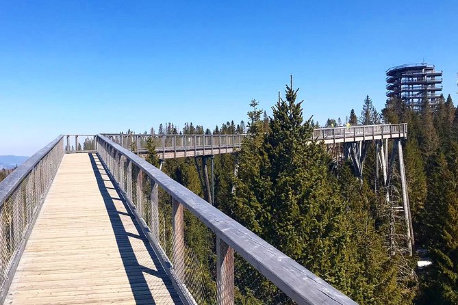Full-Day Zakopane and Slovakia Treetop Walk From Krakow - FAQ
