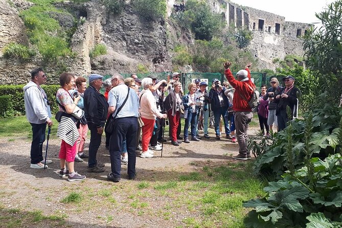 Guided Visit of Pompei and Mount Vesuvius Tour with Pizza Lunch - FAQ