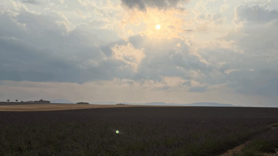 A provençal picnic at sunset in the lavender fields