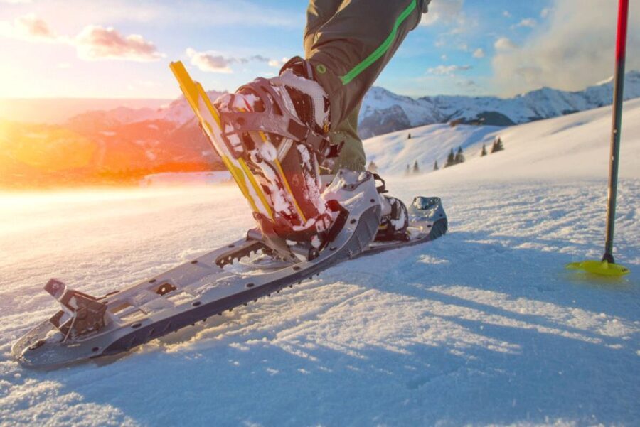Abisko: Wilderness Snowshoe Hike