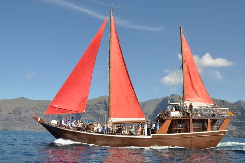 Adeje: Whale Watching Tour to Los Gigantes with lunch & swim