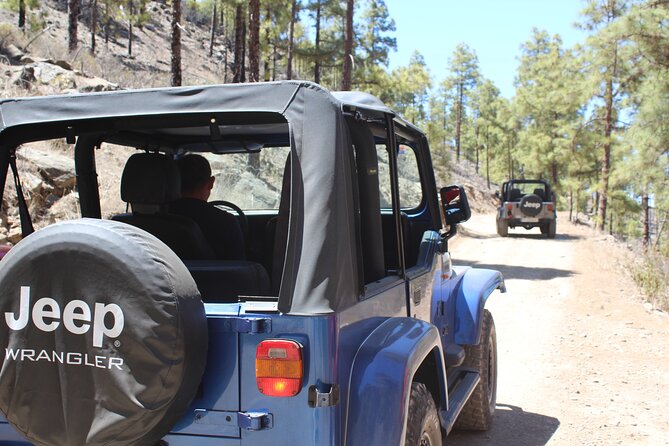 Adventure Driving Jeep Tour in Gran Canaria - An Authentic Adventure: Jeep Tour Through Gran Canaria