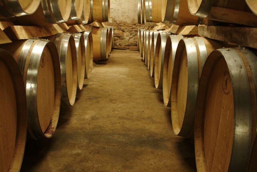 Aix-en-Provence: Half Day Wine Tour in Bandol and Cassis