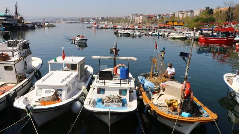 Alanya: Fishing Tour with Lunch and Hotel Transfers - The Value: Is It Worth It?