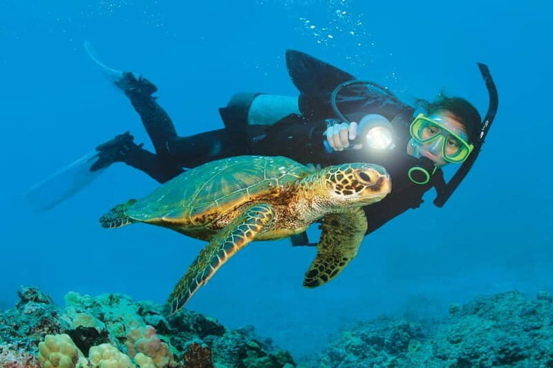Alanya: Scuba Diving Adventure for Beginners & Professionals