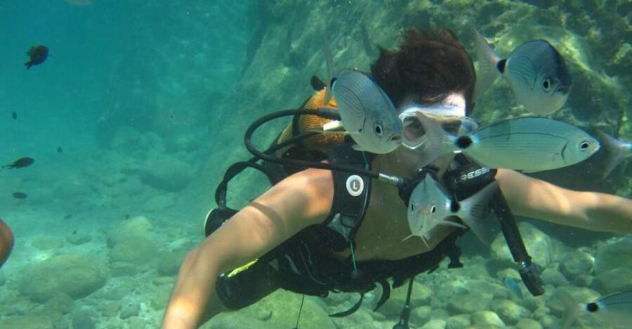 Alanya: Scuba Diving Experience with Lunch