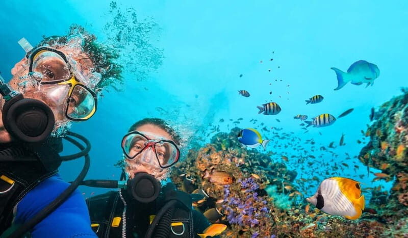 Alanya: Scuba Diving Tour Incl. Lunch with Hotel Transfer