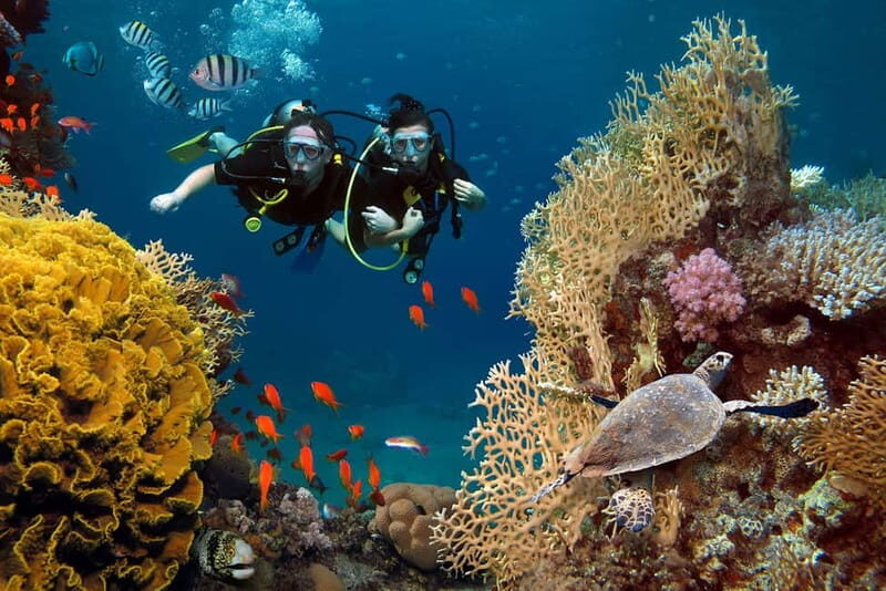 Alanya: Scuba Diving Tour with Lunch and Hotel Transfers