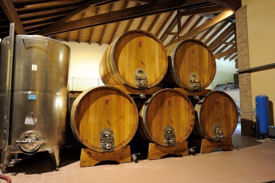 Alba: E-Bike Tour with wine tastin in cellar