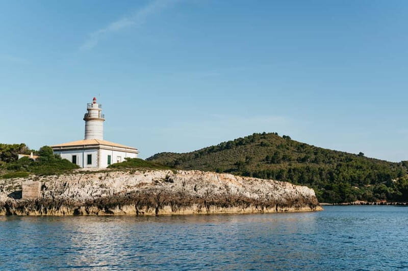 Alcudia or Can Picafort: Dolphin-Watching Cruise