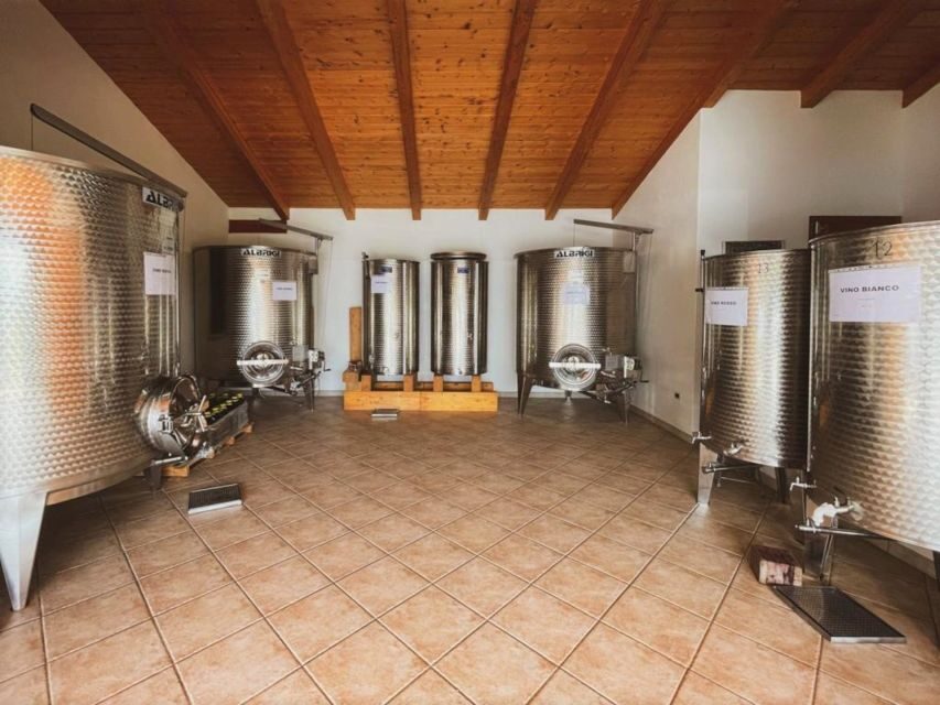 Alghero: wine tasting w/ local aperitif in the vineyard