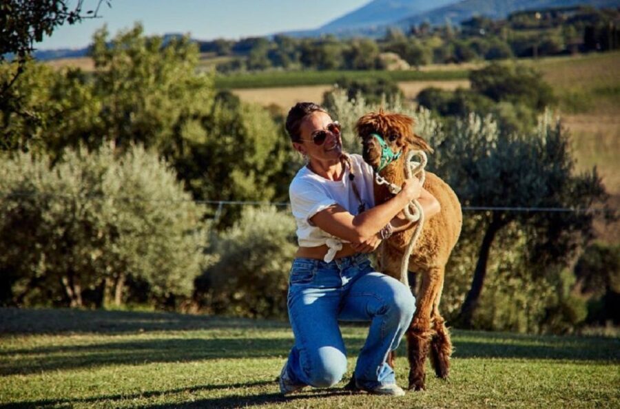Alpaca Trek in Valdichiana Senese
