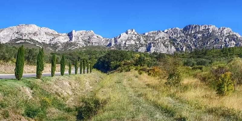 Alpilles: Discover wine estates and farms by electric bike