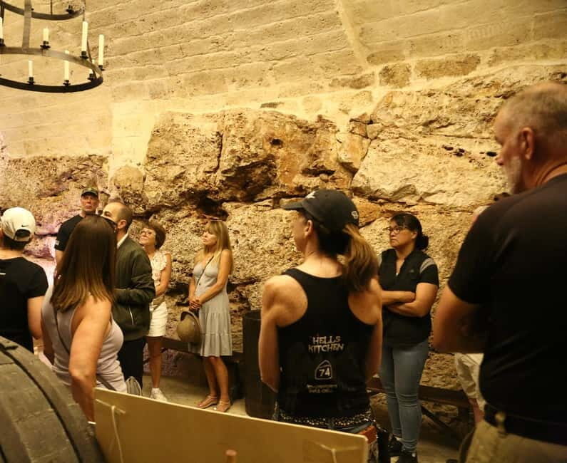 Altamura: Wine Museum Guided Tour with Tasting