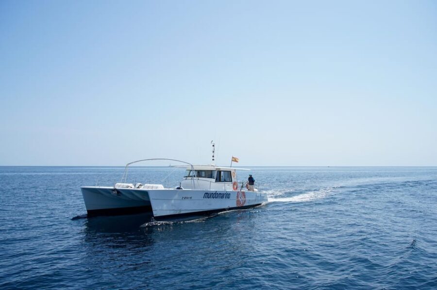 Altea: Beaches and Coves Boat Trip with Lunch