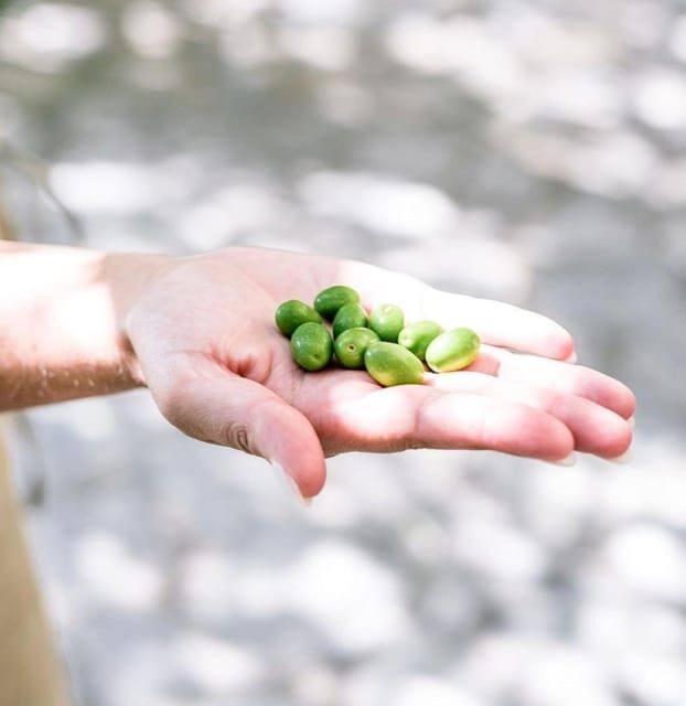 Amalfi Coast vintage tour with olive oil tasting in Ravello - Value and Practical Considerations